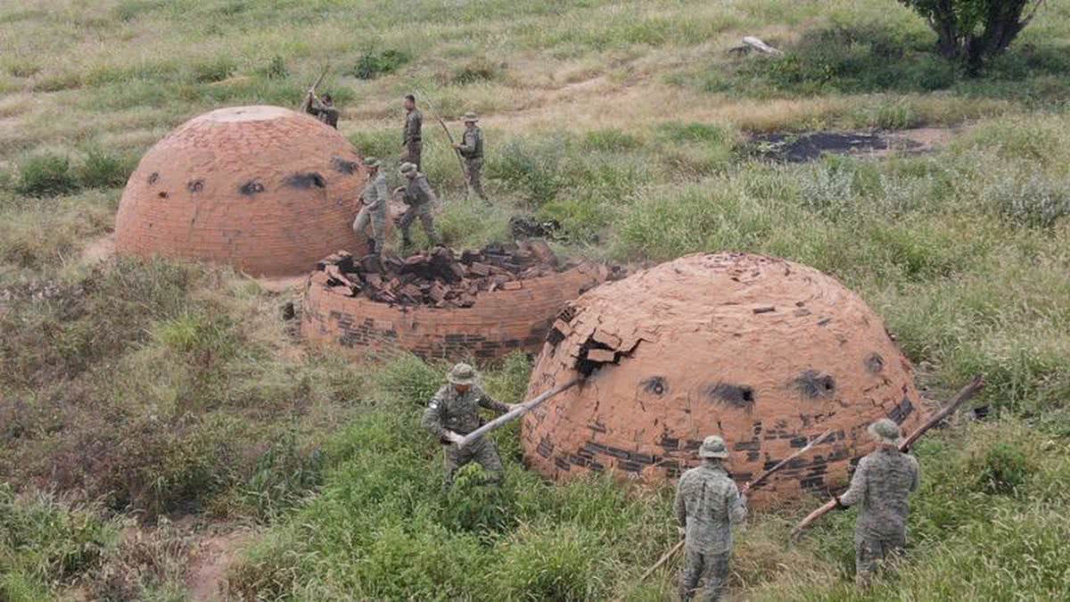 Polícia descobre 300 fornos ilegais e apreende toneladas de carvão na Bahia
