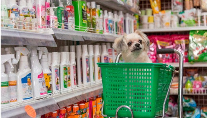 Mercado pet registra alta no faturamento em 2021 e ganha mais força ...
