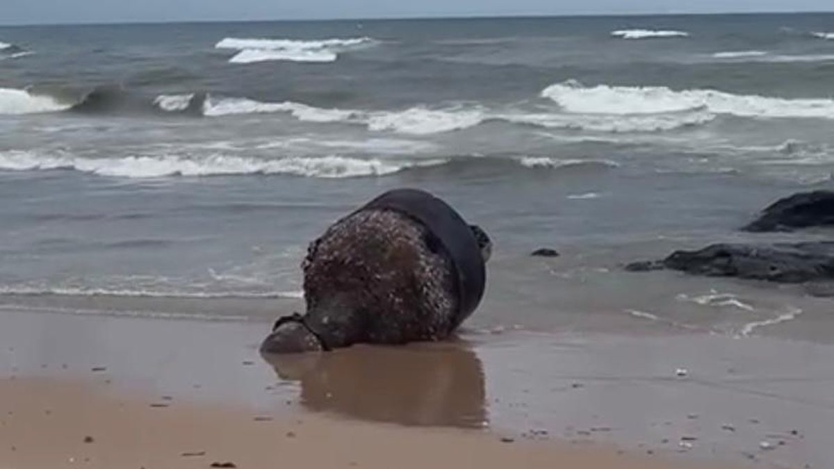 Ressaca do mar traz sinalizador de embarcações para praia de Patamares