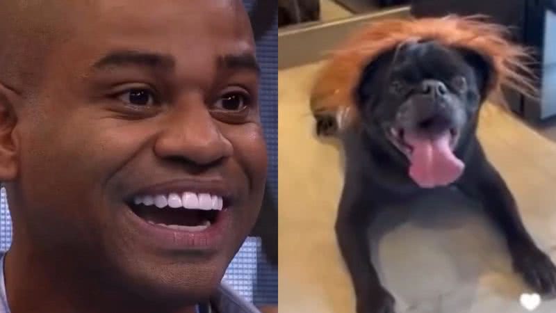 BBB23: Cezar Black volta a ter reação divertida ao ver cão de estimação ...