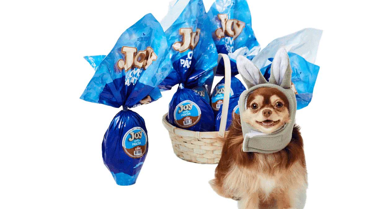 Páscoa pet ganha Ovos diferentes e brinquedos temáticos; saiba valores