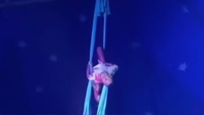 Vídeo: Acrobata cai durante show em circo e fica ferido
