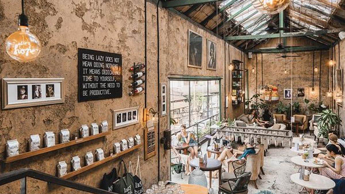 Nos cat cafés, clientes pagam por minuto para brincar com gatos