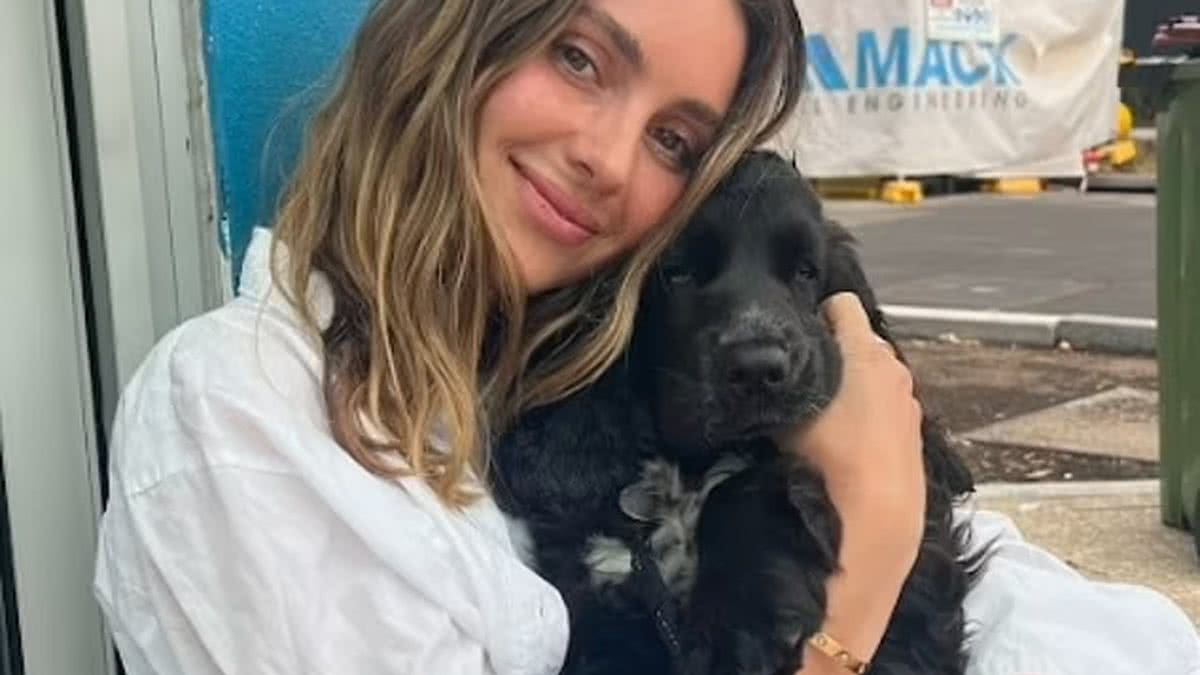 Mulher pede demissão para cuidar de cachorro com ansiedade: "me senti ...