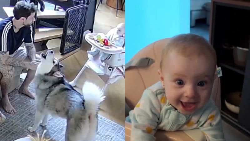 Bebezinha tem reação hilária ao ouvir pet uivar pela primeira vez; assista