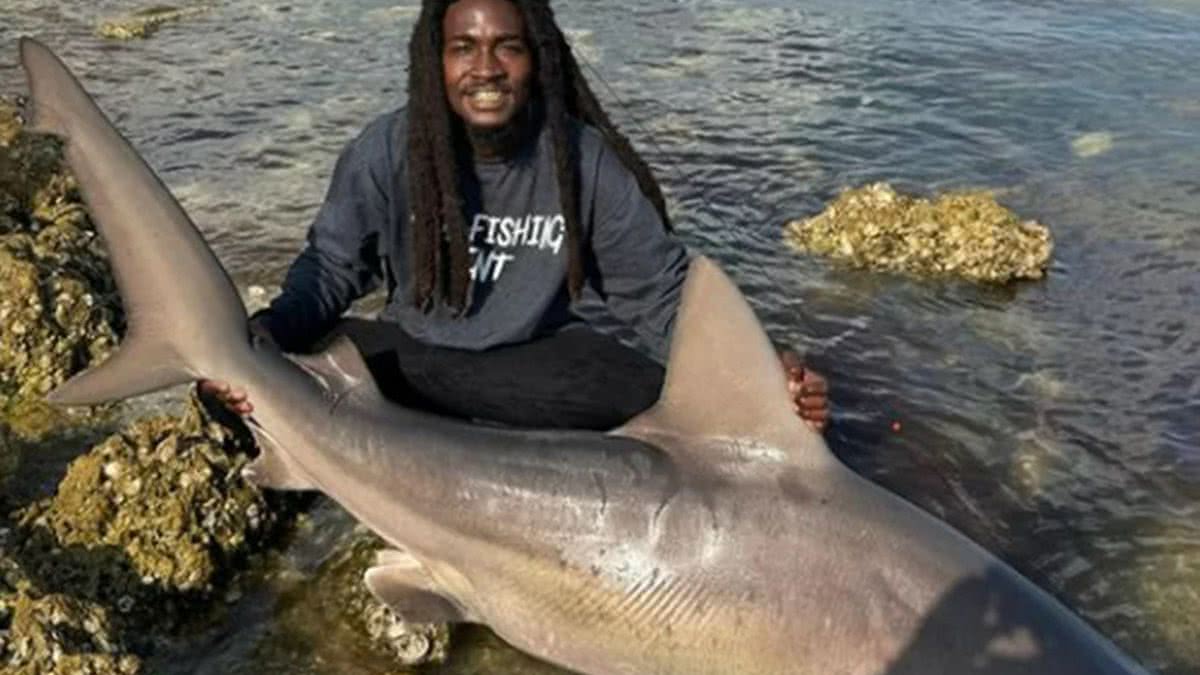 Aquaman? Homem viraliza ao segurar tubarão com as mãos Aquaman? Homem viraliza ao segurar tubarão com as mãos