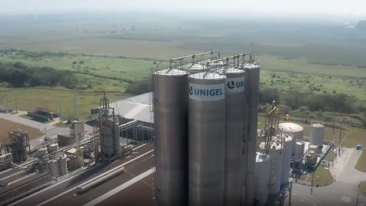 Segunda maior petroquímica do país analisa pedir recuperação judicial ...