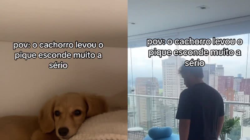 VÍDEO: Doguinho viraliza nas redes por se esconder de dona