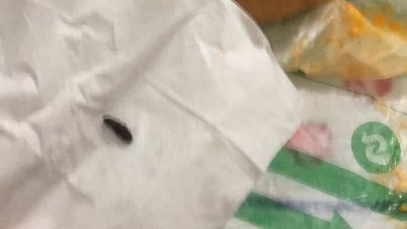 Jovem encontra fezes de rato em sanduíche da Subway em Shopping de ...