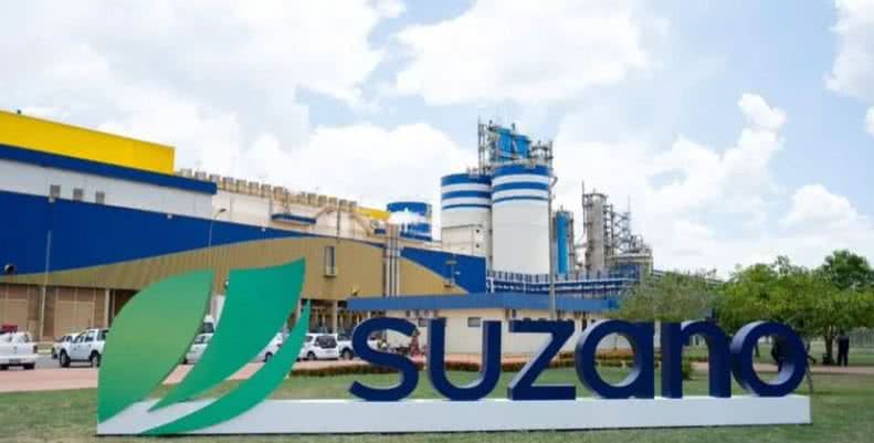 100 anos: Suzano completa centenário após enfrentar desafios ao longo ...