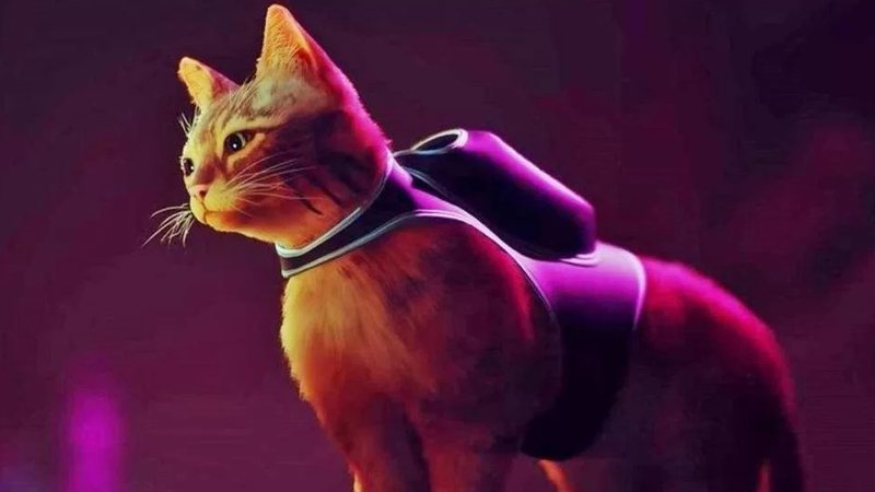 Saiba mais sobre o gato que inspirou jogo com felino como protagonista