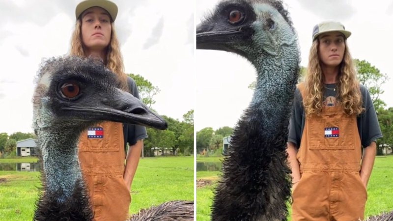 Ema rouba a cena durante gravação de vídeo e viraliza na web; veja