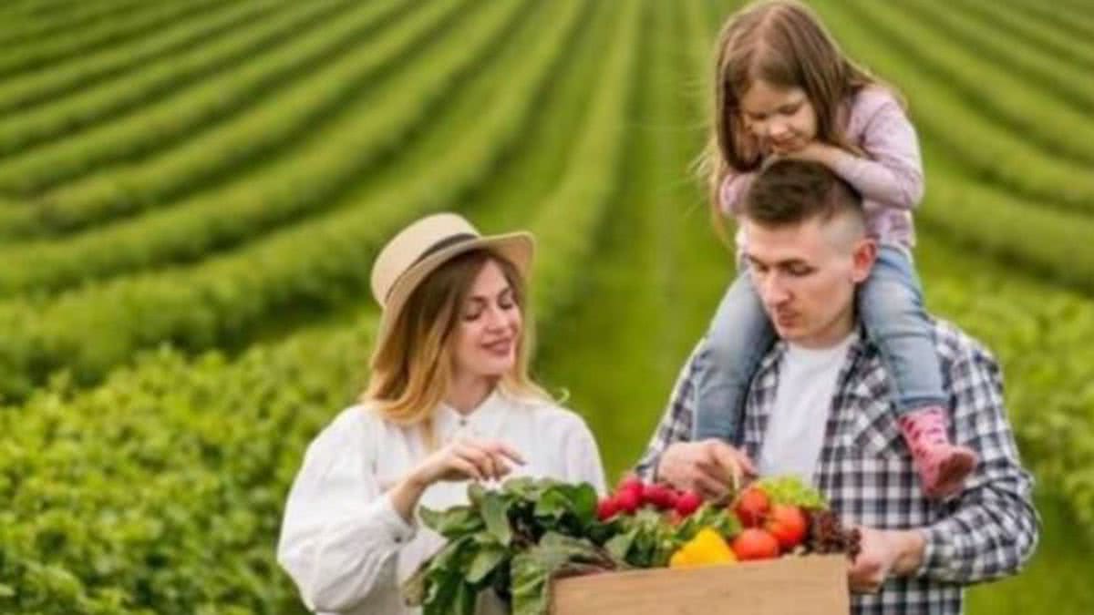 BNews Agro: Brasil se destaca no cenário mundial com agricultura ...