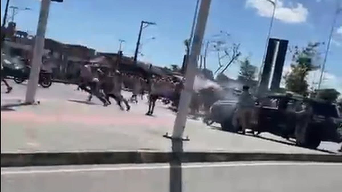 VÍDEO: Polícia atua durante briga de torcida organizada antes de jogo ...