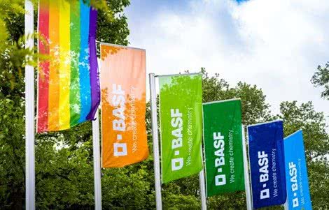 Junho Verde: BASF reforça compromisso com diversidade, equidade e ...
