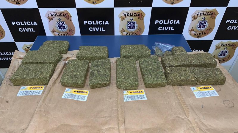 Polícia Descobre Esquema De Entrega De Drogas Via Sedex Em Vitória Da