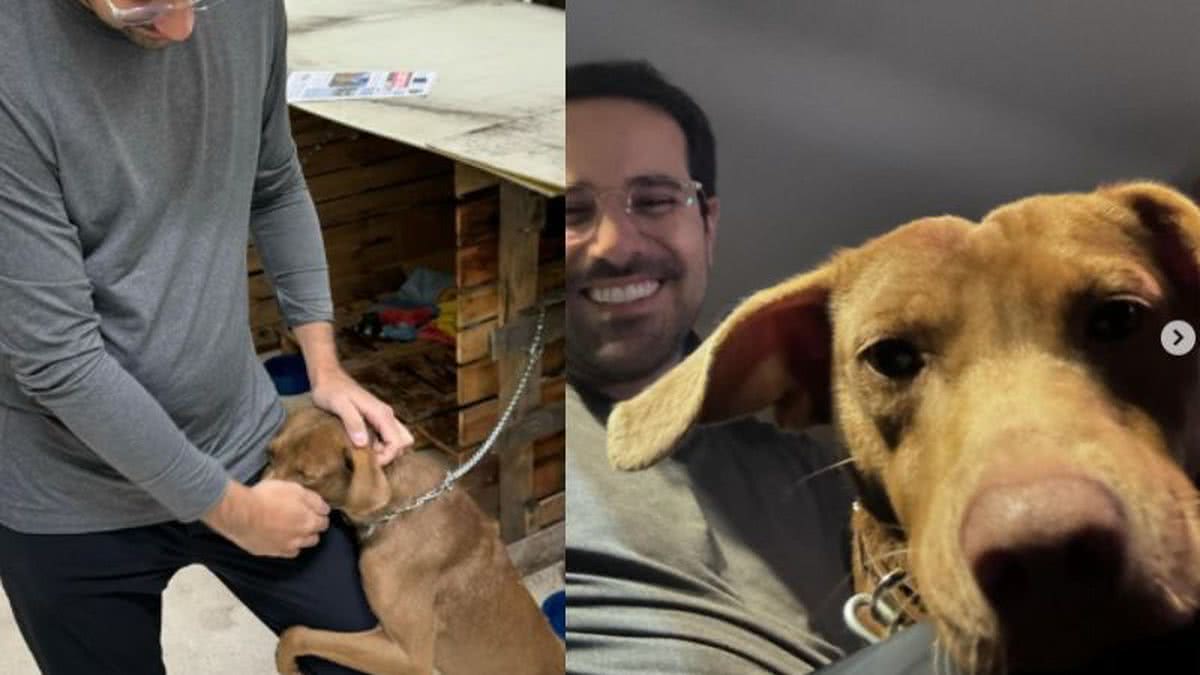 Apresentador adota cachorro que o abraçou em transmissão ao vivo no RS ...