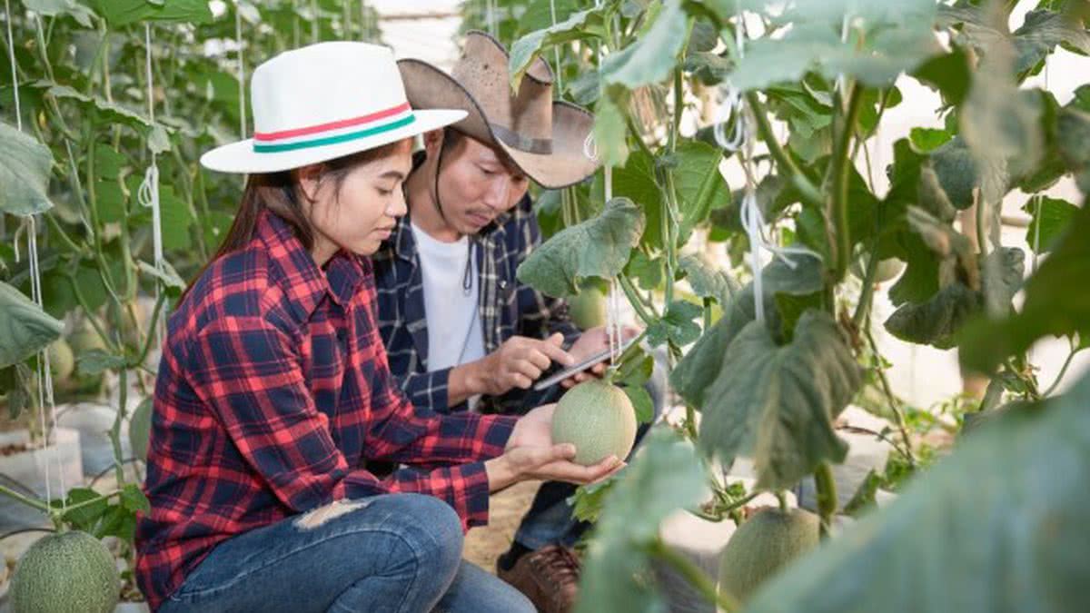 Parceria entre Brasil e China no agronegócio deve movimentar US$ 20 ...