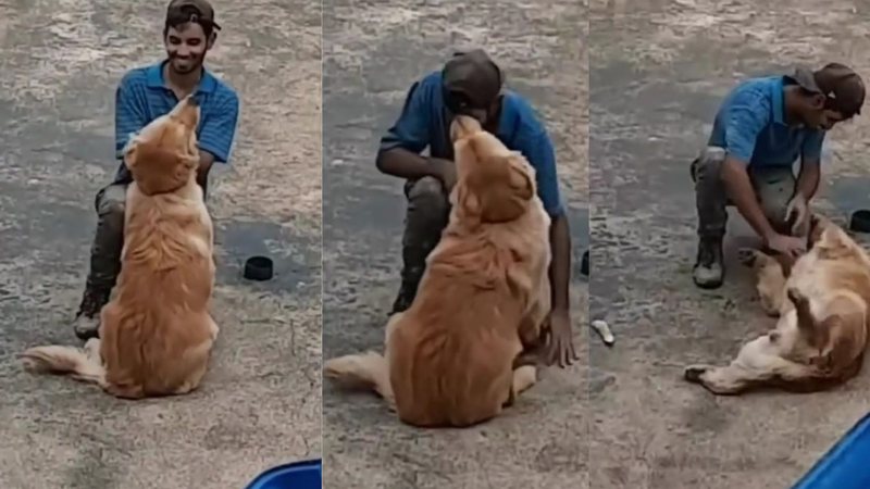 Doguinho faz amizade instantânea com pedreiro e encanta web ; assista