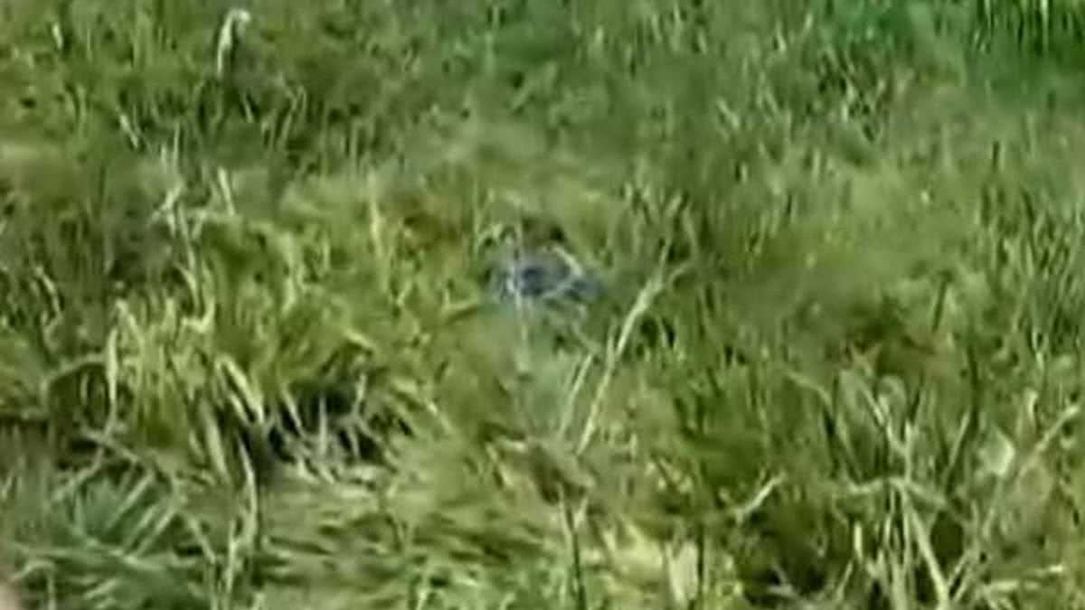 Homem é encontrado morto na Avenida Gal Costa; saiba detalhes