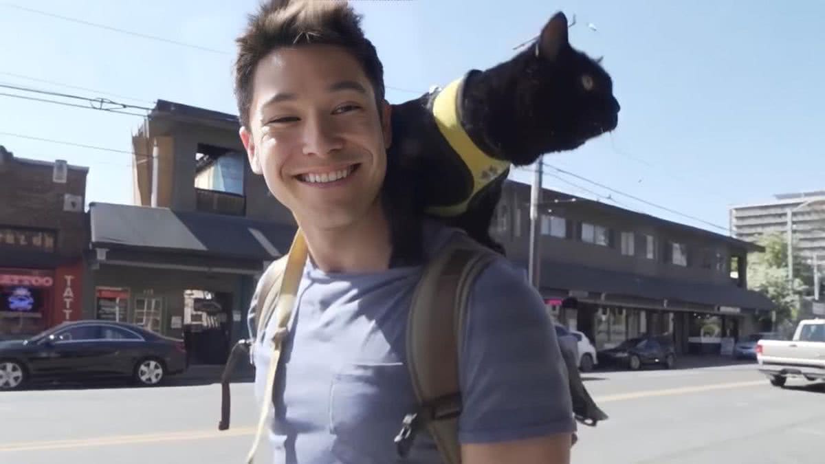 Homem gasta quase R$ 600 mil em viagens com gato e dispara: 'Quem ...