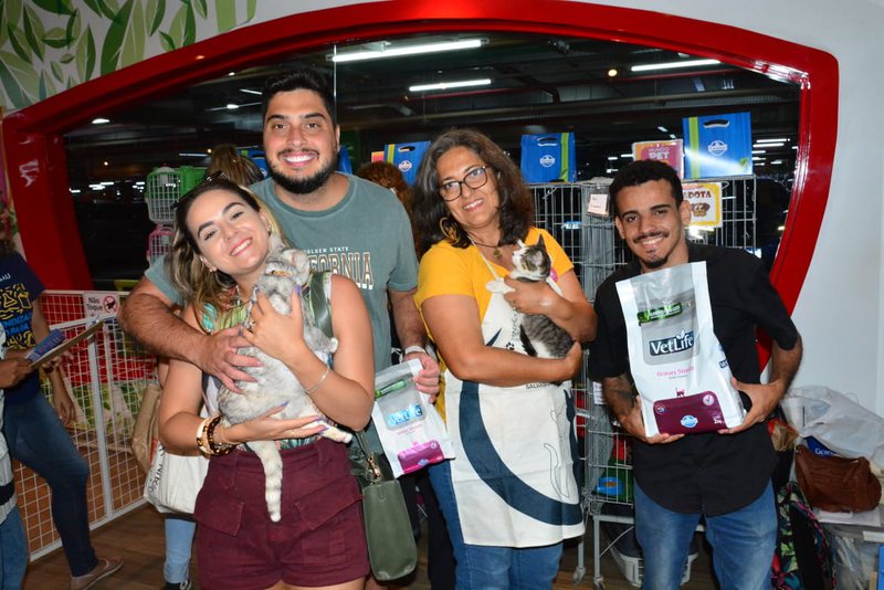 Galeria · Feira de adoção de gatos com necessidades especiais no Mundo ...