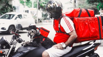 Conheça a história de Ruby Fofa, a cadela entregadora que faz sucesso ...