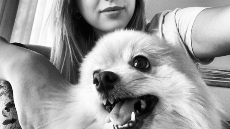Tristeza! Morre Spitz Alemão que teve parte do focinho arrancado por ...