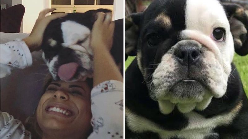 Lexa desabafa após perda de pet: Lexa desabafa após perda de pet: