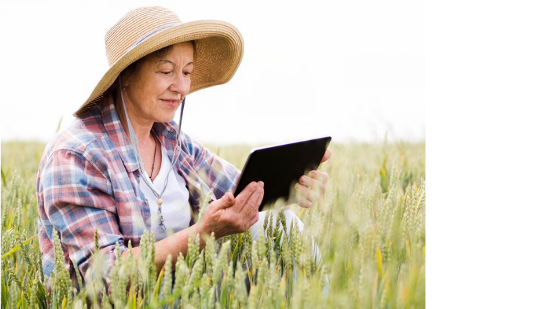 Saiba quais são os cinco grandes desafios do marketing no novo agro ...