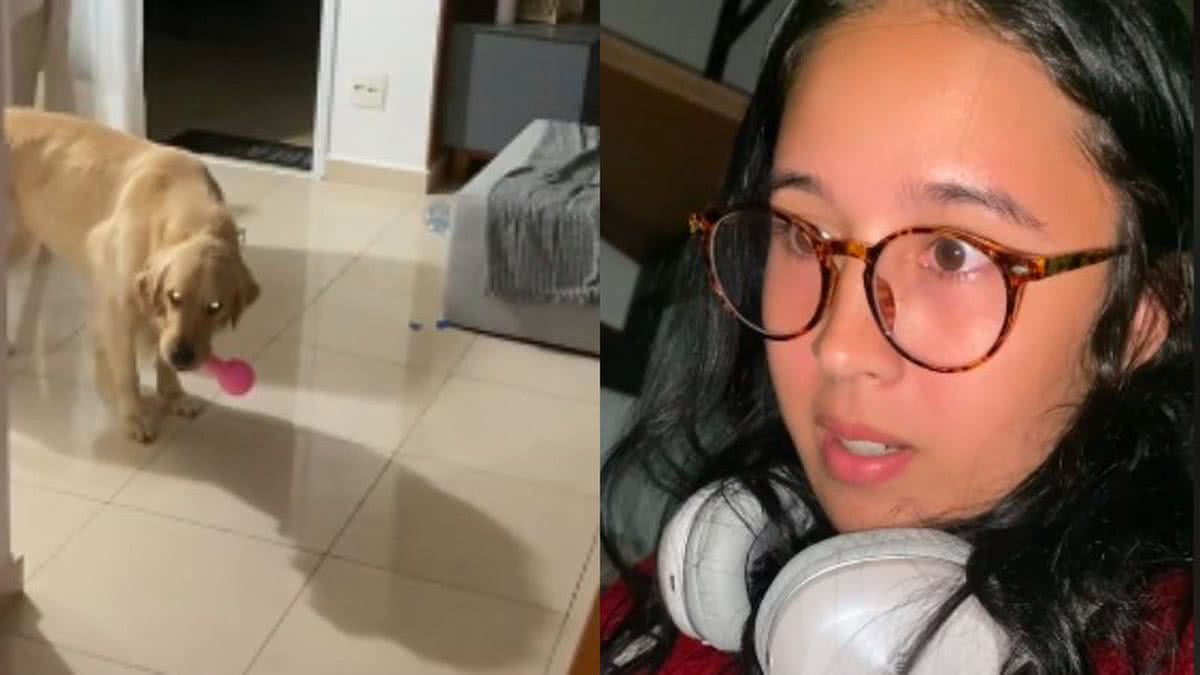 Jovem passa por perrengue ao não ser reconhecida por golden de amiga ...