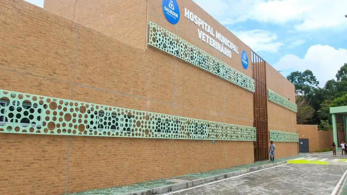 Hospital Veterinário de Salvador realizou mais de 290 mil atendimentos em pouco mais de um ano