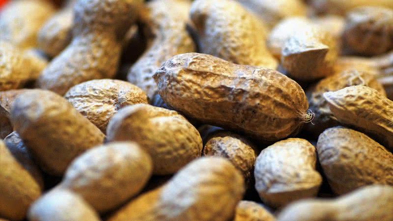 Produção de amendoim no Brasil cresce mais de 100% nos últimos 8 anos