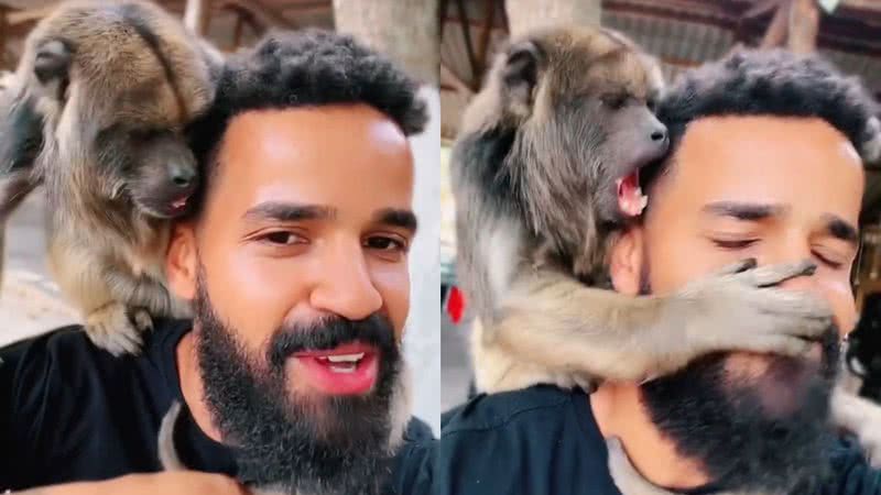 Após coçar partes íntimas, macaco toma atitude com humano; assista ...