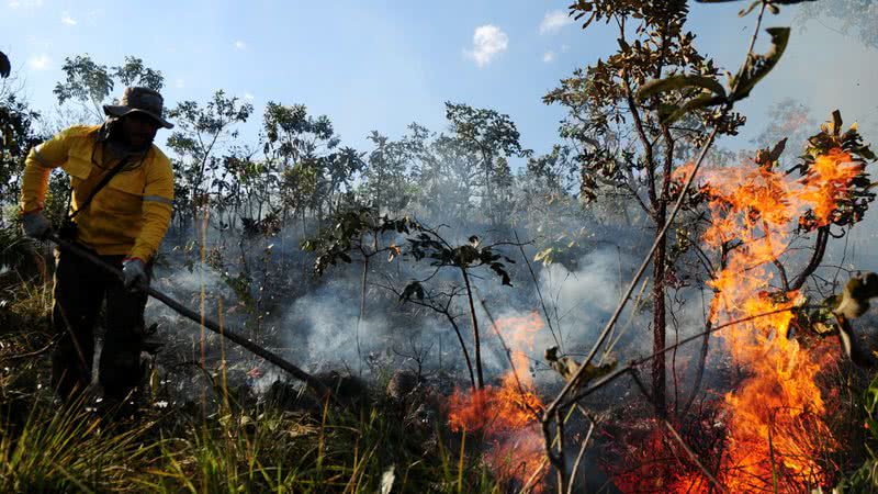 Especial incêndio e queimadas: Saiba como evitar e minimizar os ...