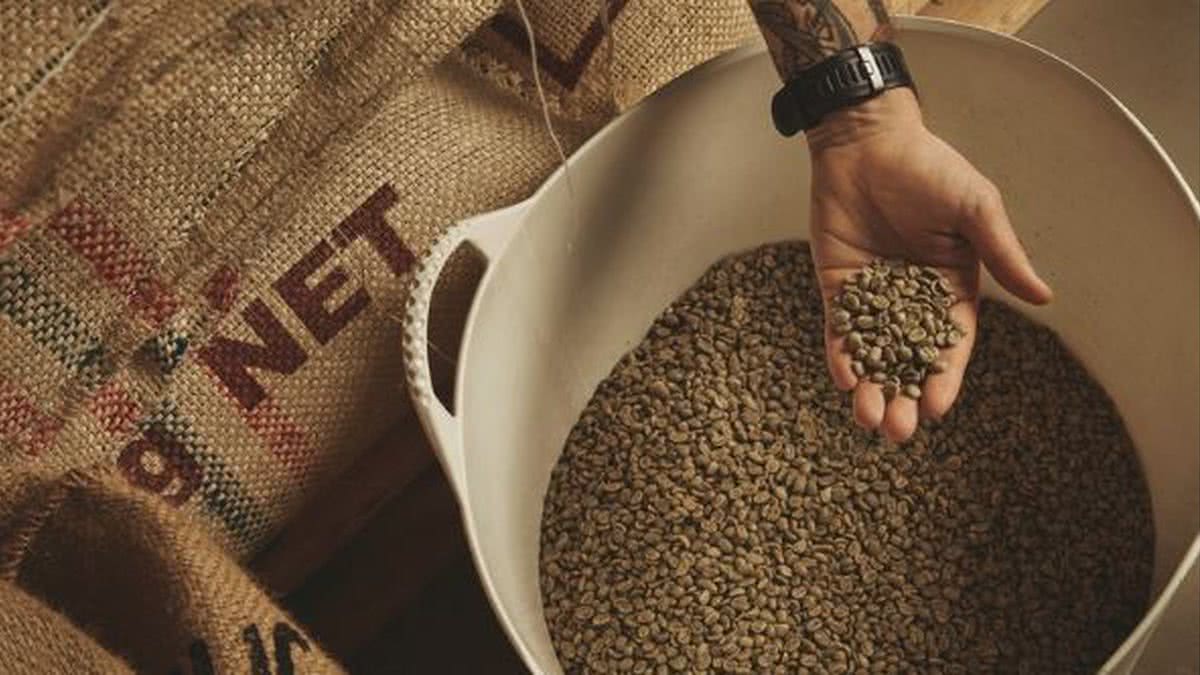 Confira qual tipo de café conhecido como “elixir da longevidade”