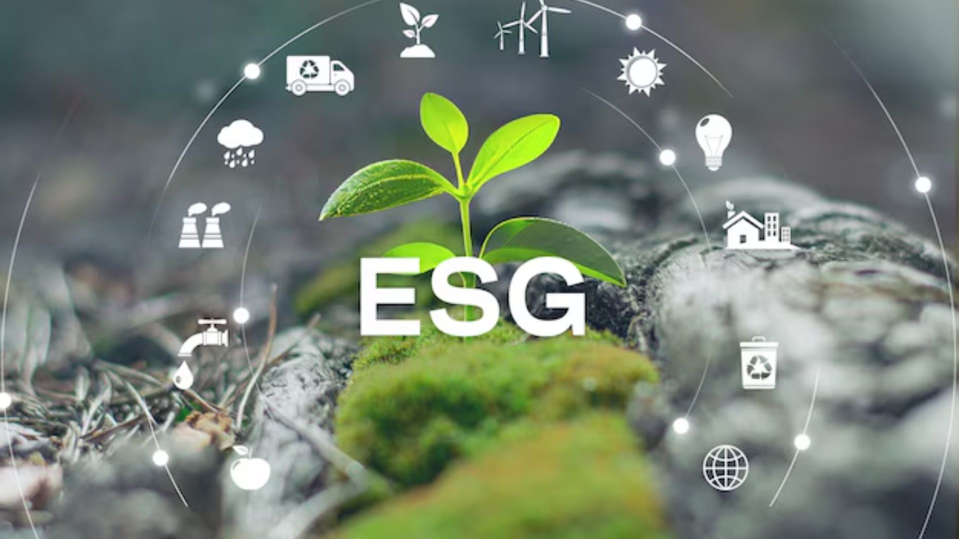 Junho Verde: Como empresas brasileiras estão aplicando ESG na prática e ...
