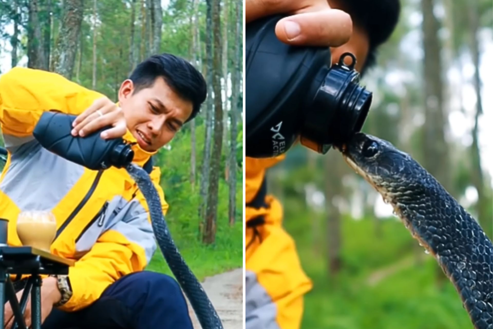 Homem dá água para cobra em garrafa e cena inusitada viraliza; assista