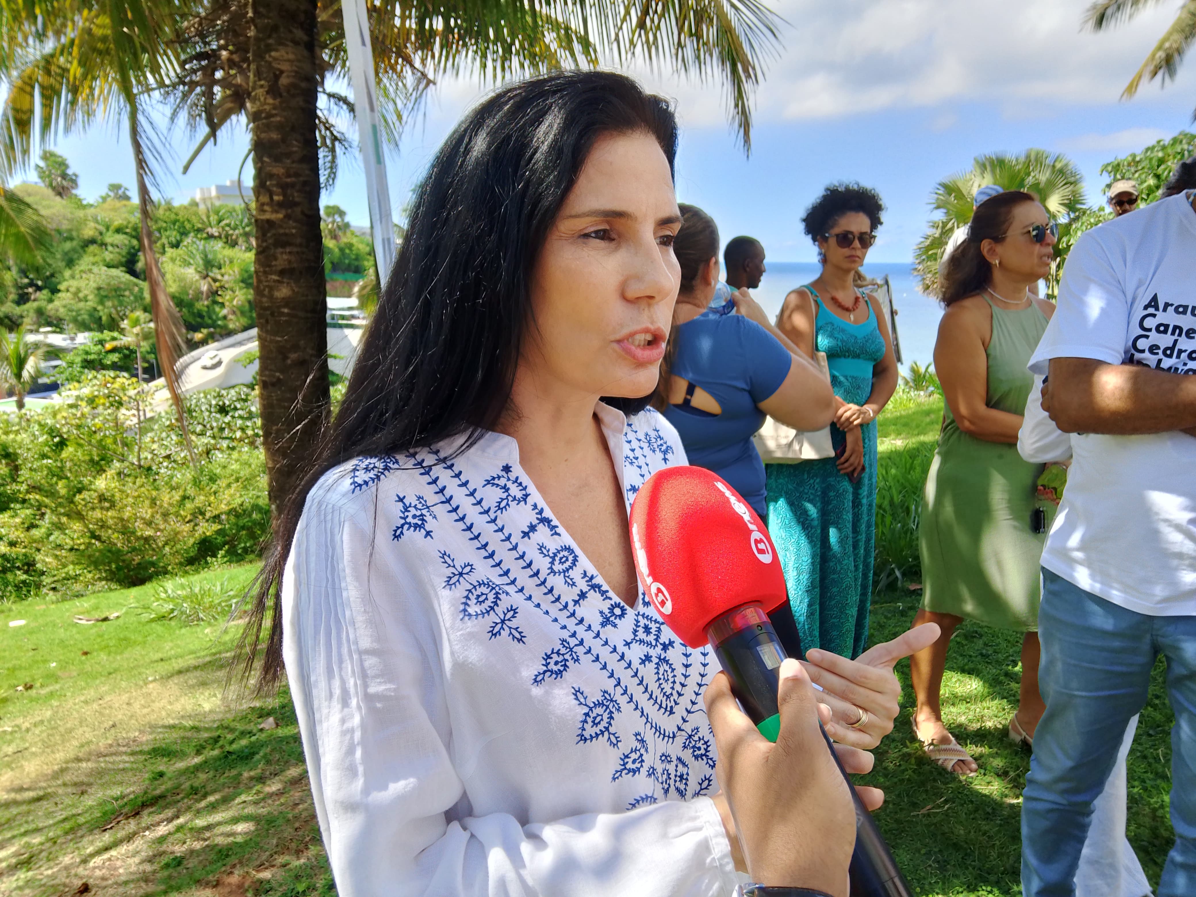Movimento SOS Área Verdes diz que faltam argumentos da Prefeitura de ...