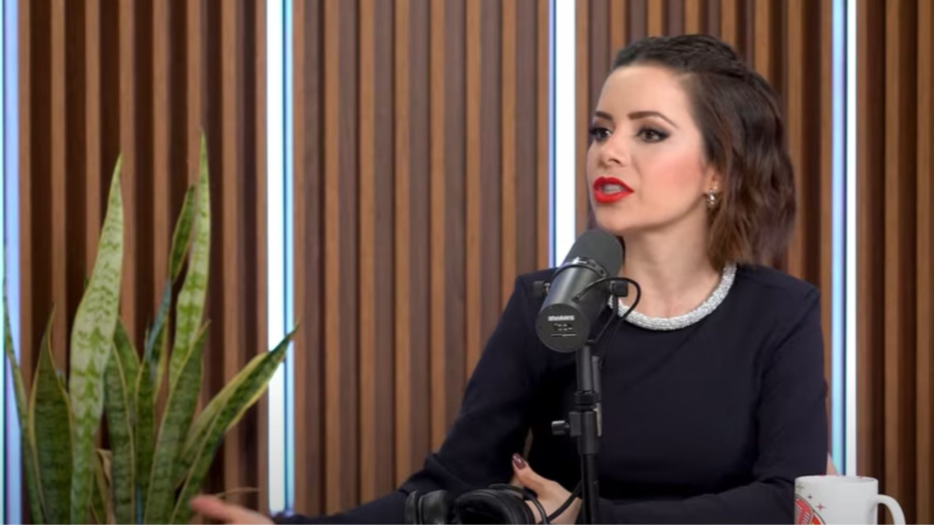 Sandy faz revelação íntima e expõe crises de pânico em retorno aos ...