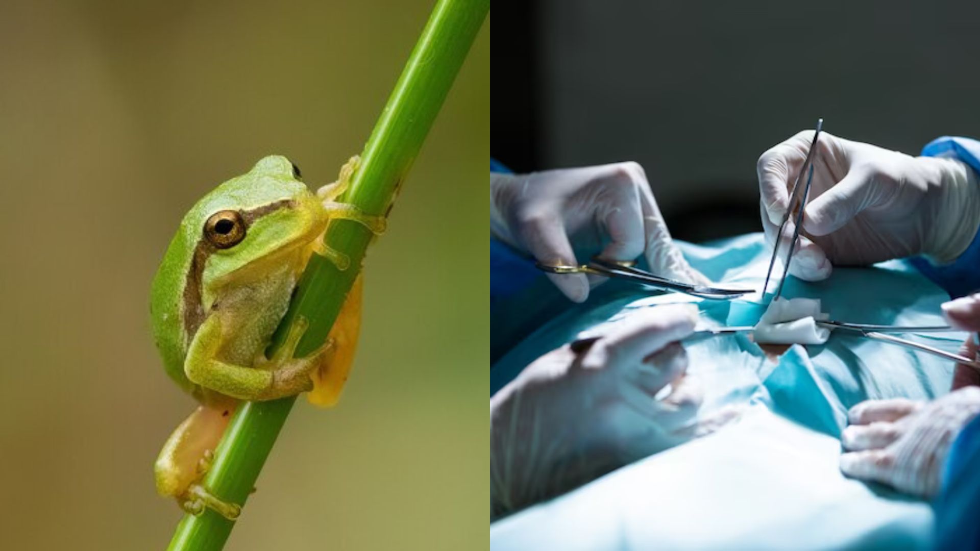 Secretaria de Saúde esclarece caso de jovem que precisou de cirurgia ...