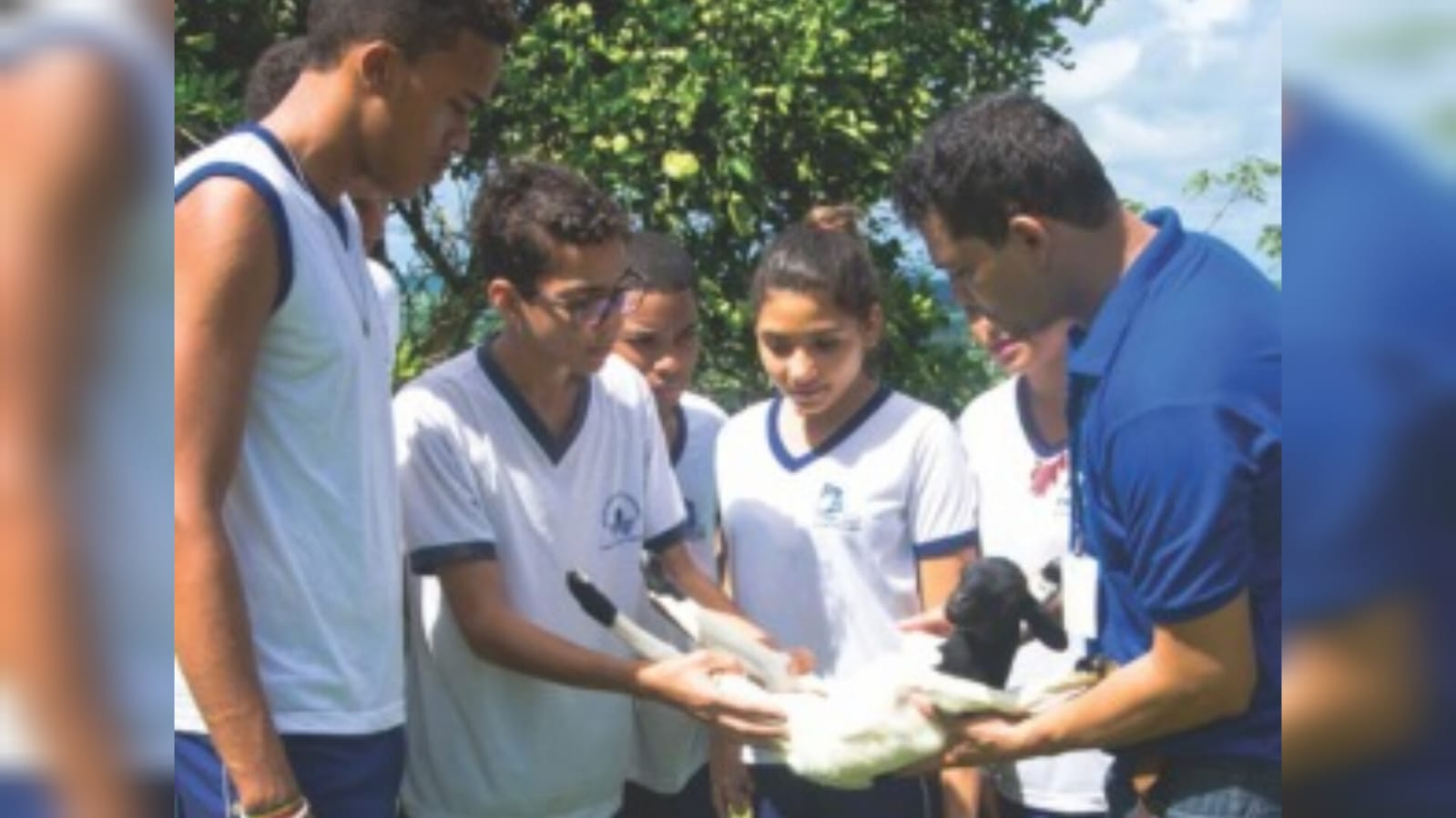 Educação transforma. E há 50 anos, a Ferbasa e a Fundação José Carvalho ...