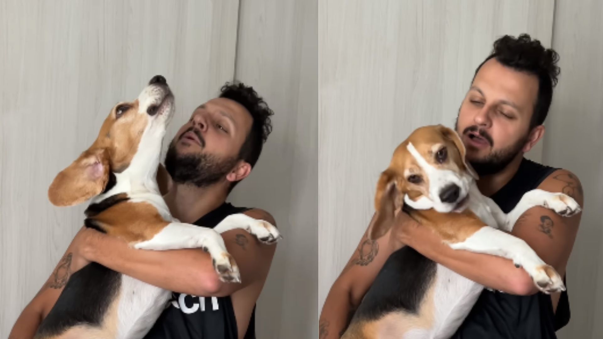 Bebezão! Cachorro dengoso responde tutor e viraliza; assista