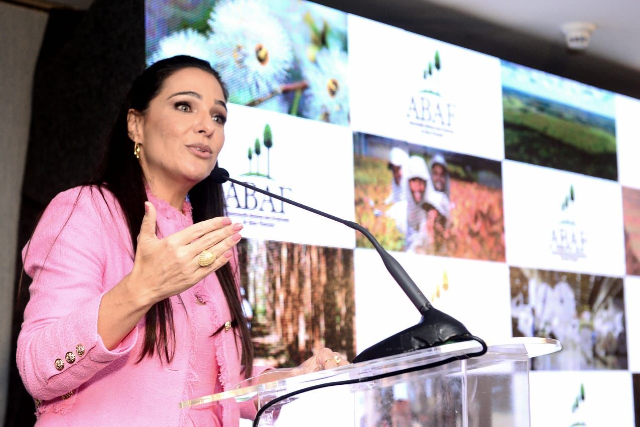 BNews ESG: Presidente da Abaf celebra Dia da Indústria e aponta ...