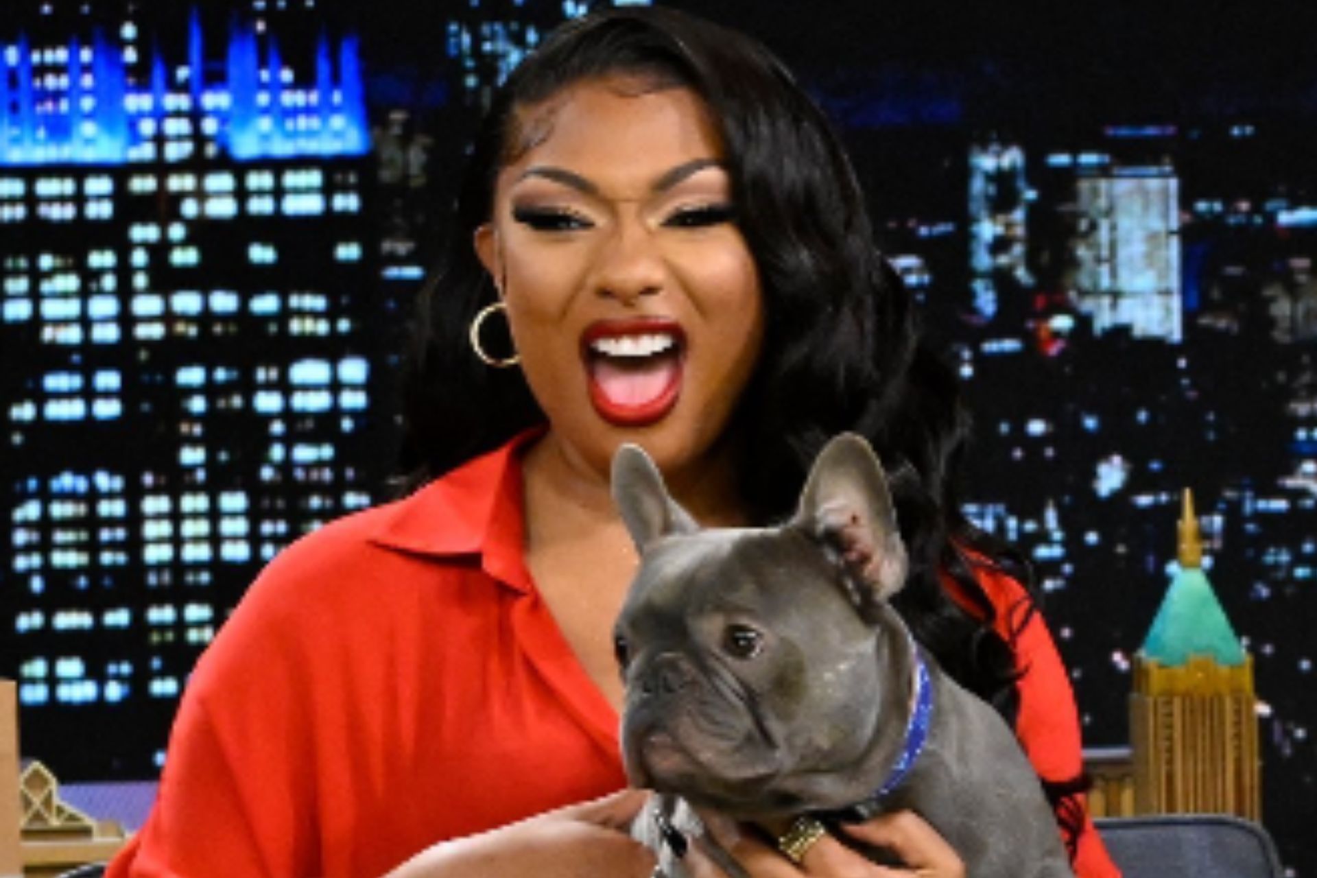 Cantora famosa leva cachorro para programa de TV e pet surpreende com ...