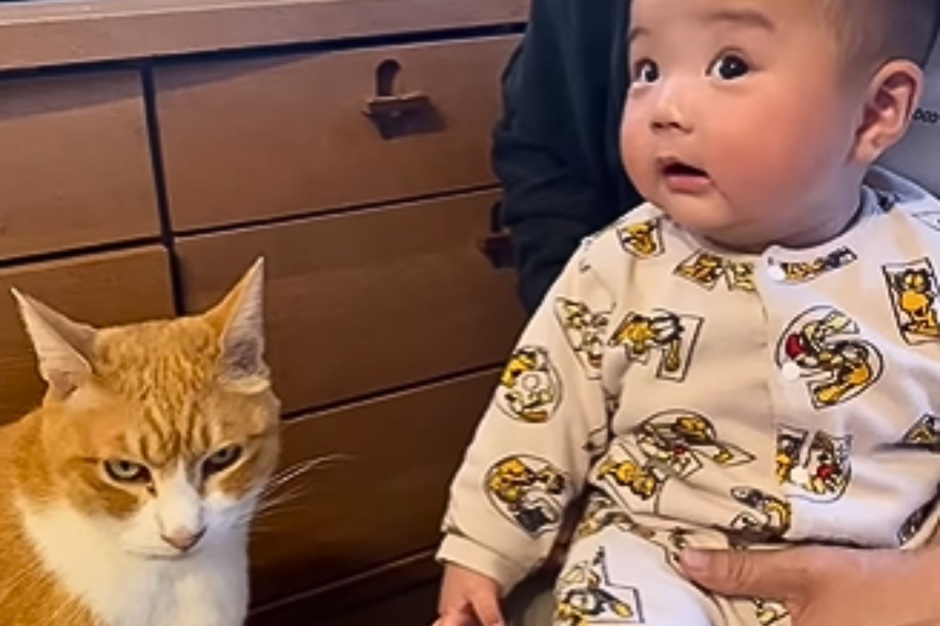 Gatinho não resiste a fofura de bebê e tem reação inusitada; assista