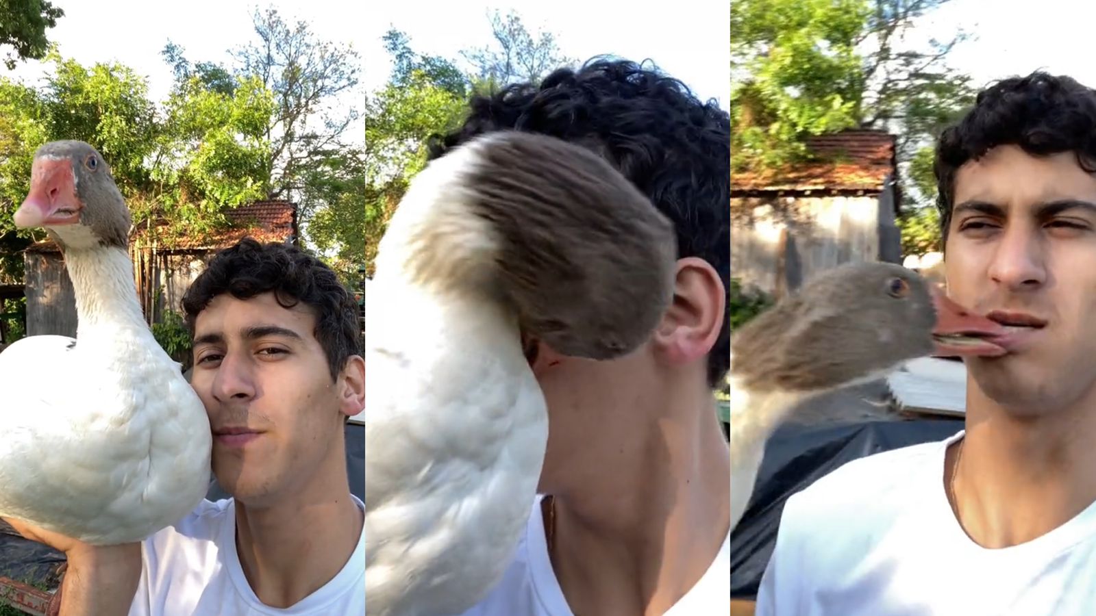 Ganso se empolga com letra de música e dá beijo na boca de jovem; assista