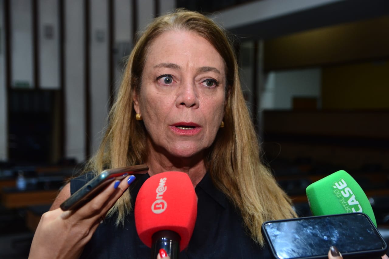 Fabíola Mansur diz que Lei Antirracismo corrige lacuna que havia no ...