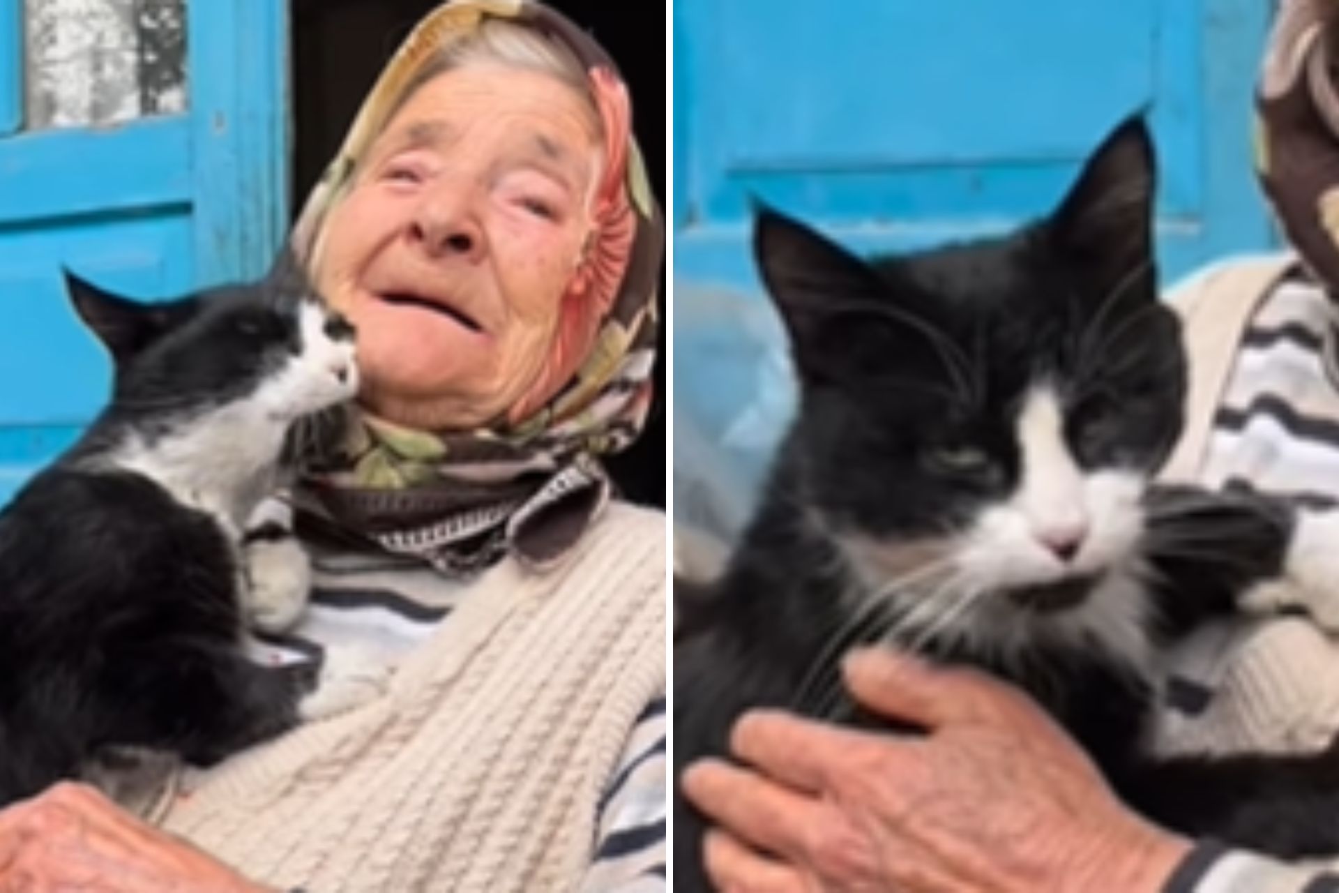 Reação de gato ao ver avó surpreende internautas; assista