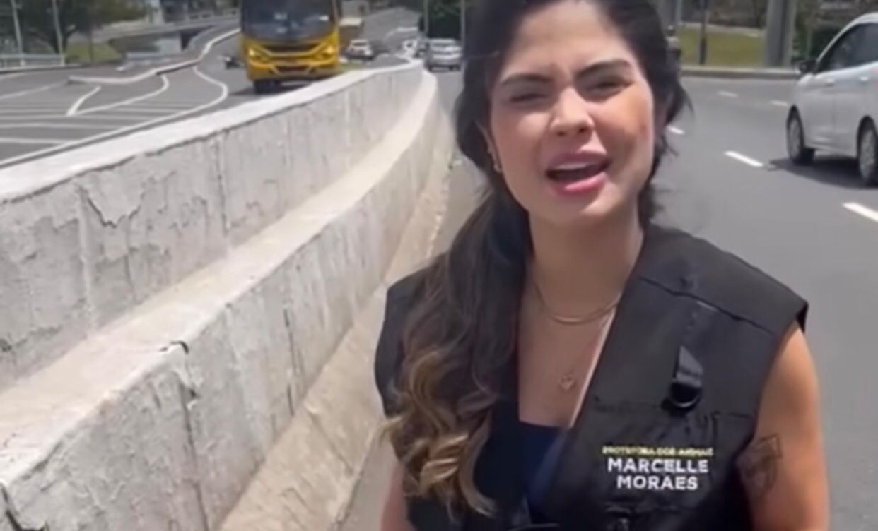 Vídeo: Marcelle Moraes se revolta ao se deparar com cachorro morto na ...